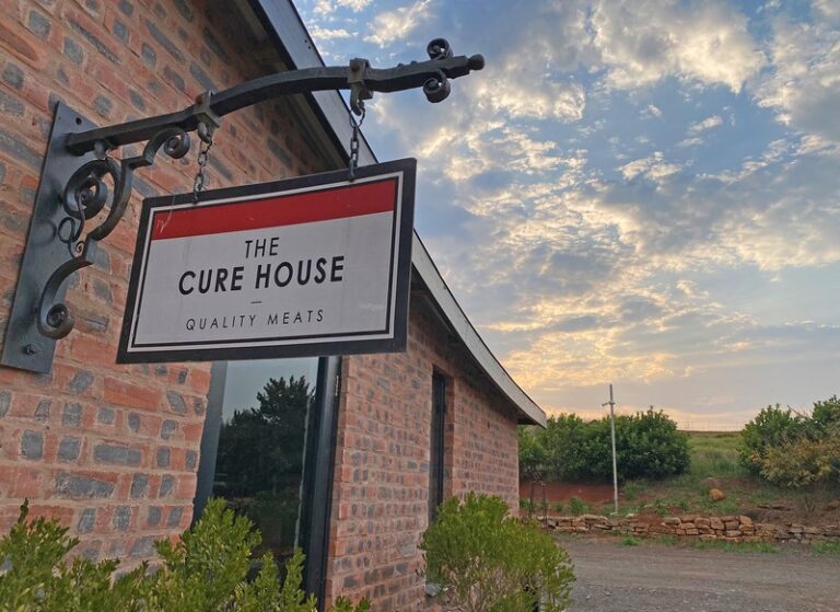 Gallery - Cure House